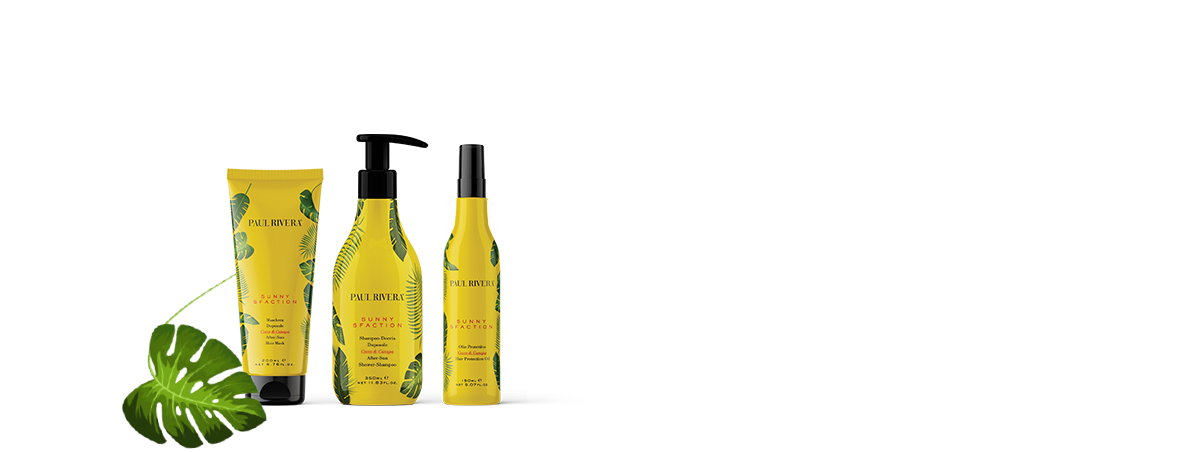 Professional Hair Products | Paul Rivera - Hair Beauty Celebration